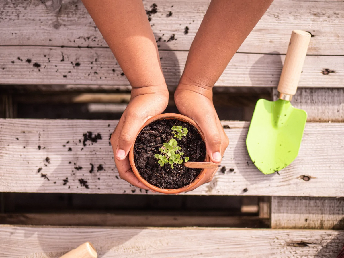 Crayon à planter - Fleurs et herbes aromatiques